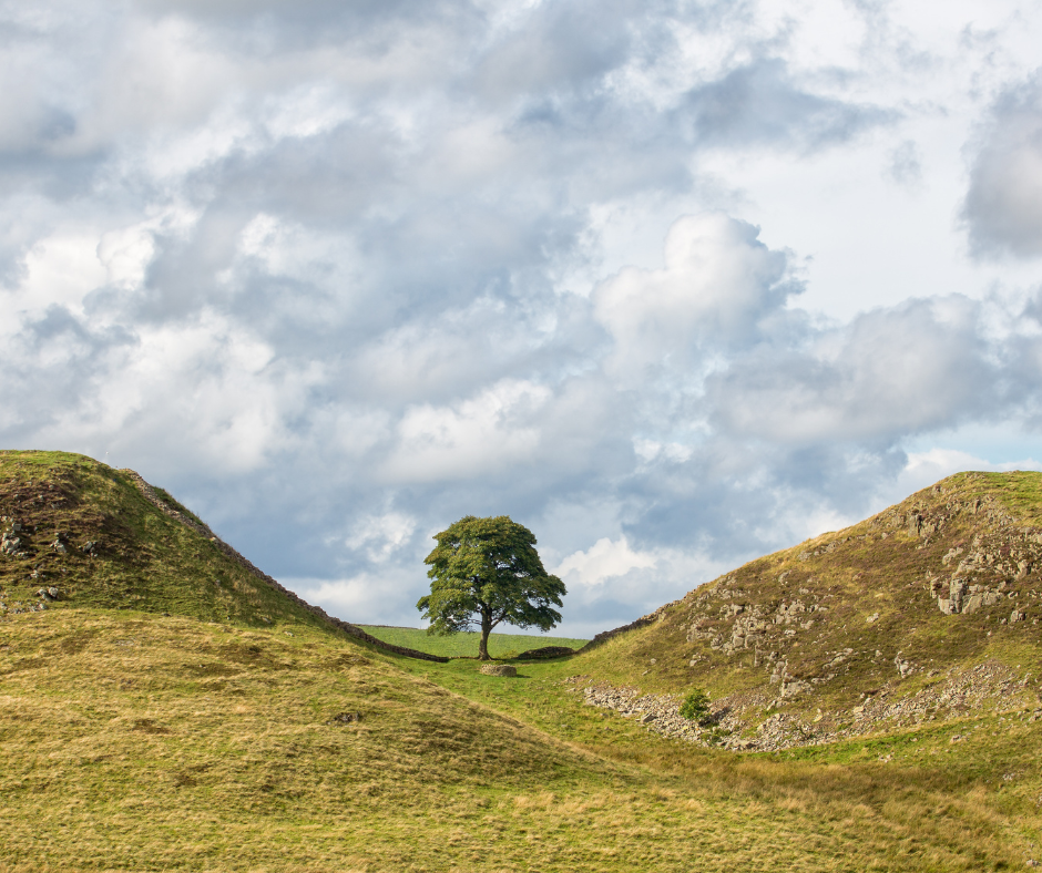 Periodic tenancies require due diligence: Here’s why